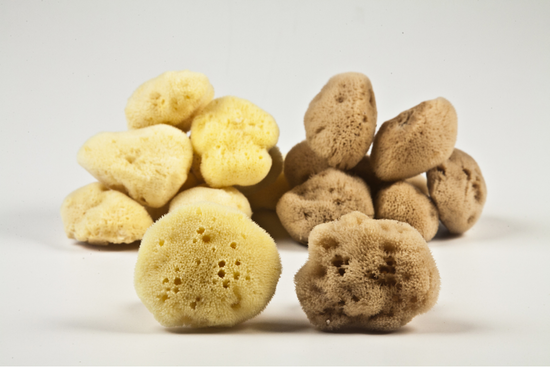 How to Use a Menstrual Sea Sponge – PeriodShop