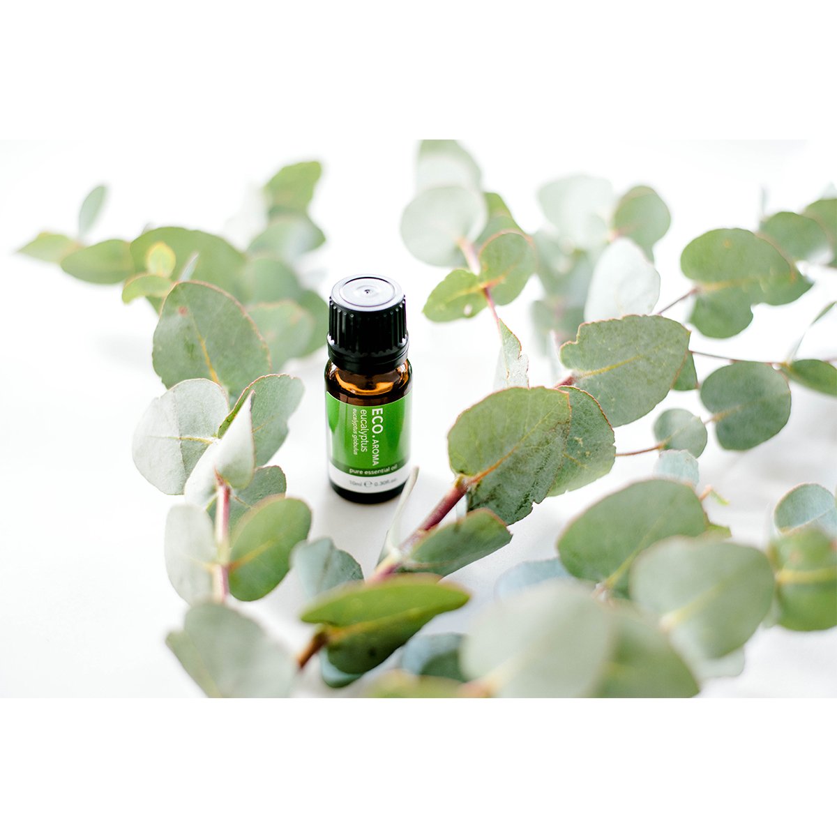 Eco Aroma Essential Oil - Eucalyptus (10ml) – PeriodShop