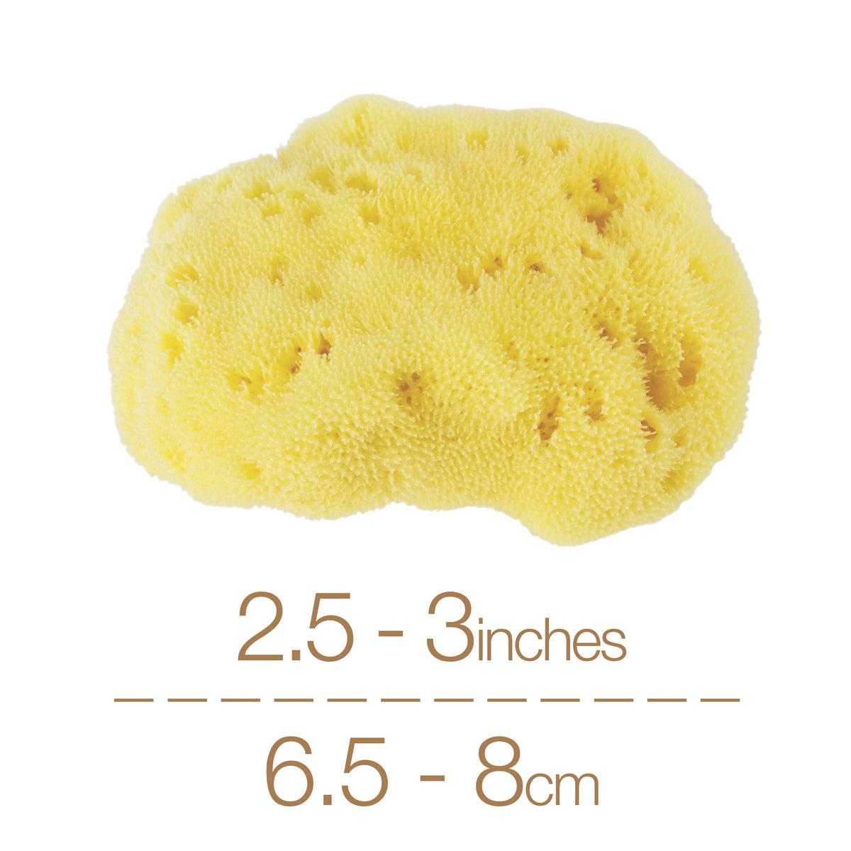 Natural Intimacy Menstrual Sea Sponges - Bleached Large (2 Pack ...