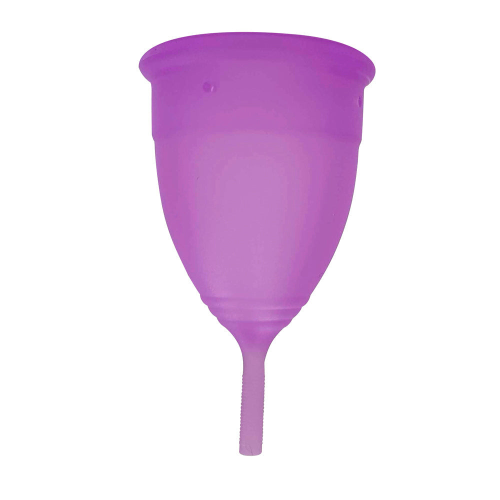 Canack Menstrual Cup - Purple – PeriodShop