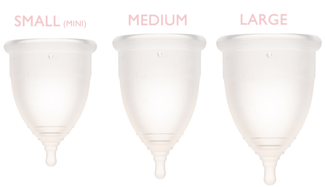 Pelvi Menstrual Cup - Small – PeriodShop